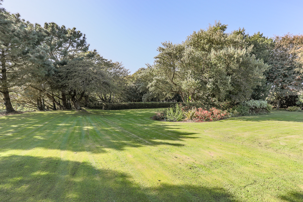 Black-Grace-Cowley-Colby-Mooar-37 - Black Grace Cowley